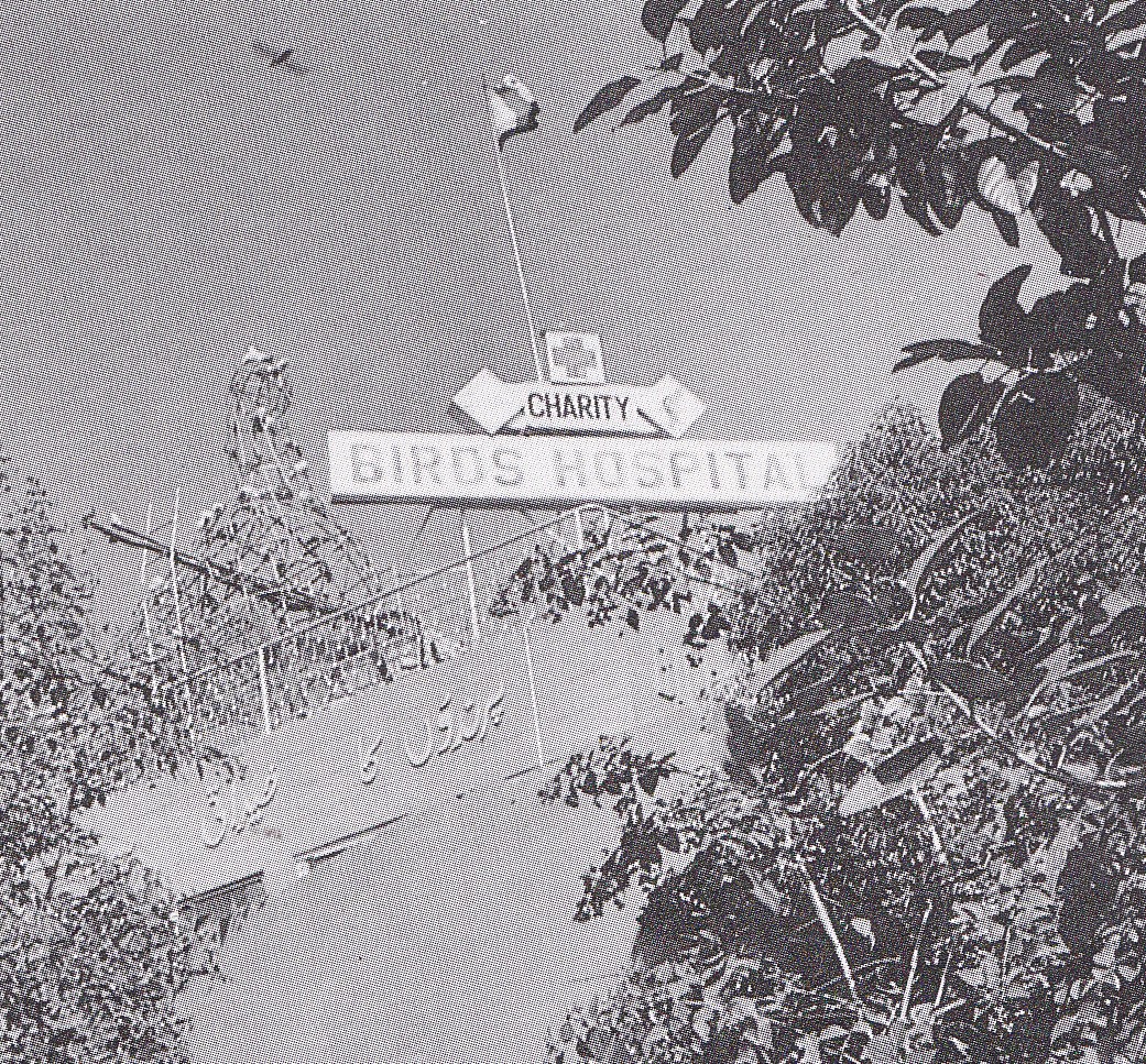 82. Madhuban & Sammeta Shikhara