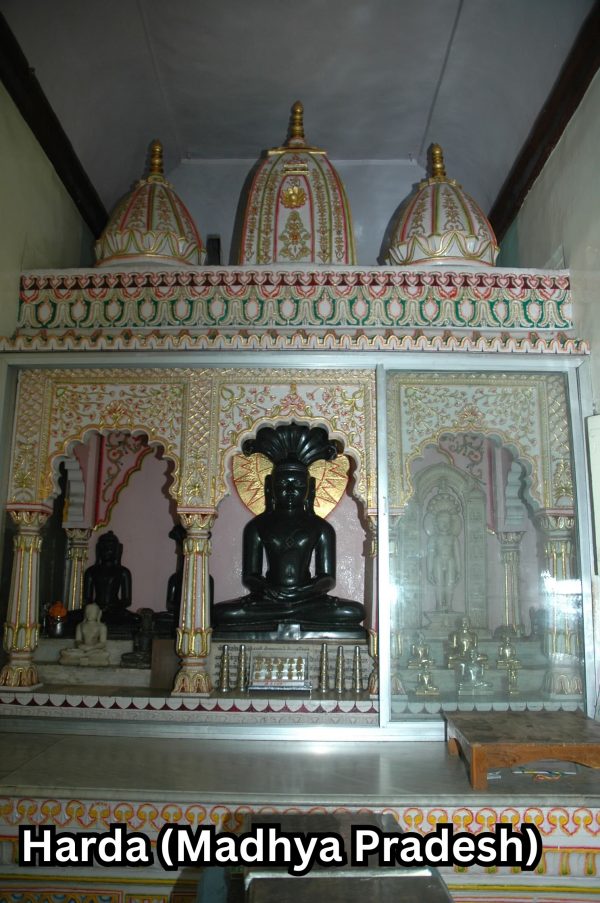 Harda (Madhya Pradesh) - Encyclopedia of Jainism