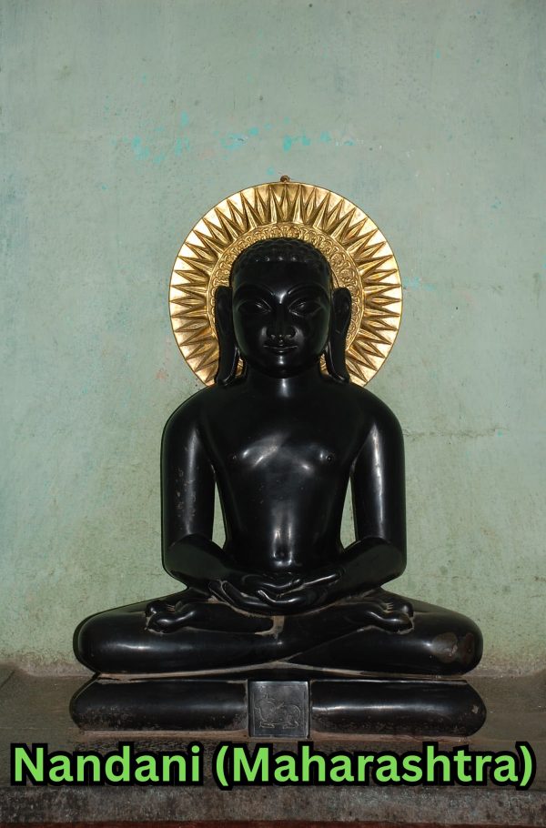 Nandani (Maharashtra)