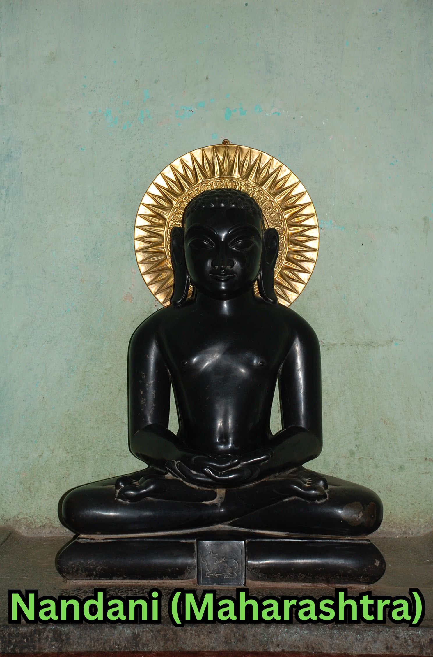 Nandani (Maharashtra)