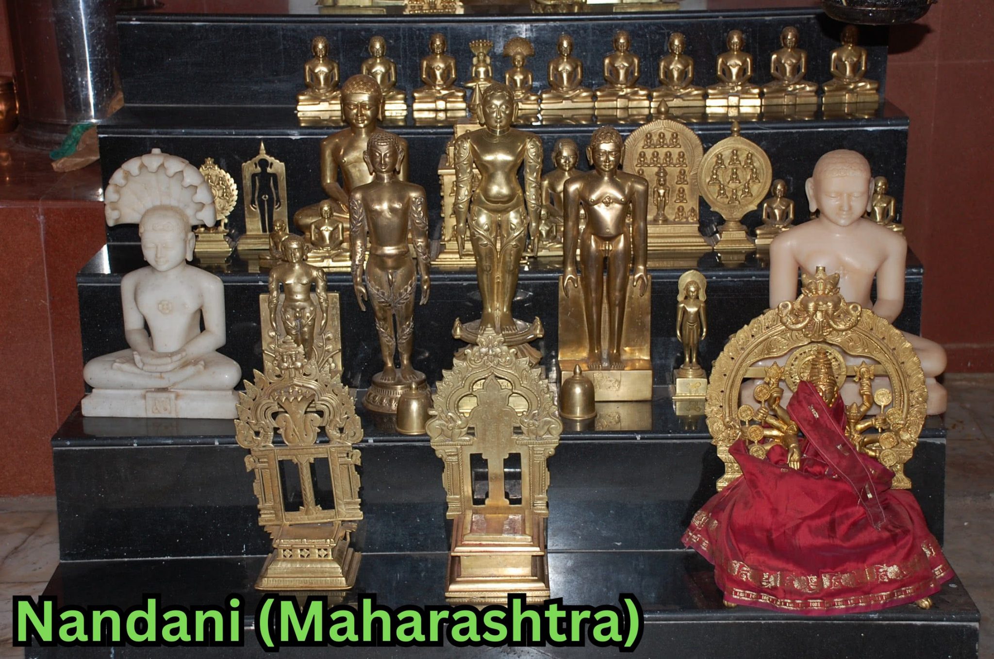 Nandani (Maharashtra)