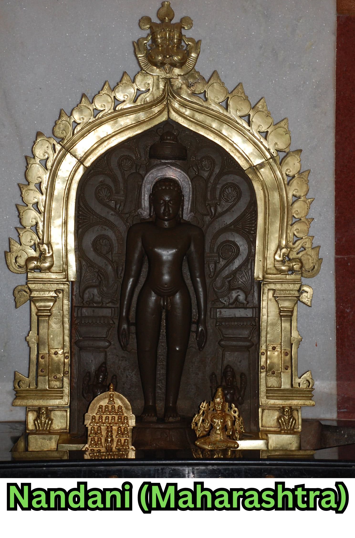 Nandani (Maharashtra)