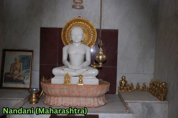 Nandani (Maharashtra)